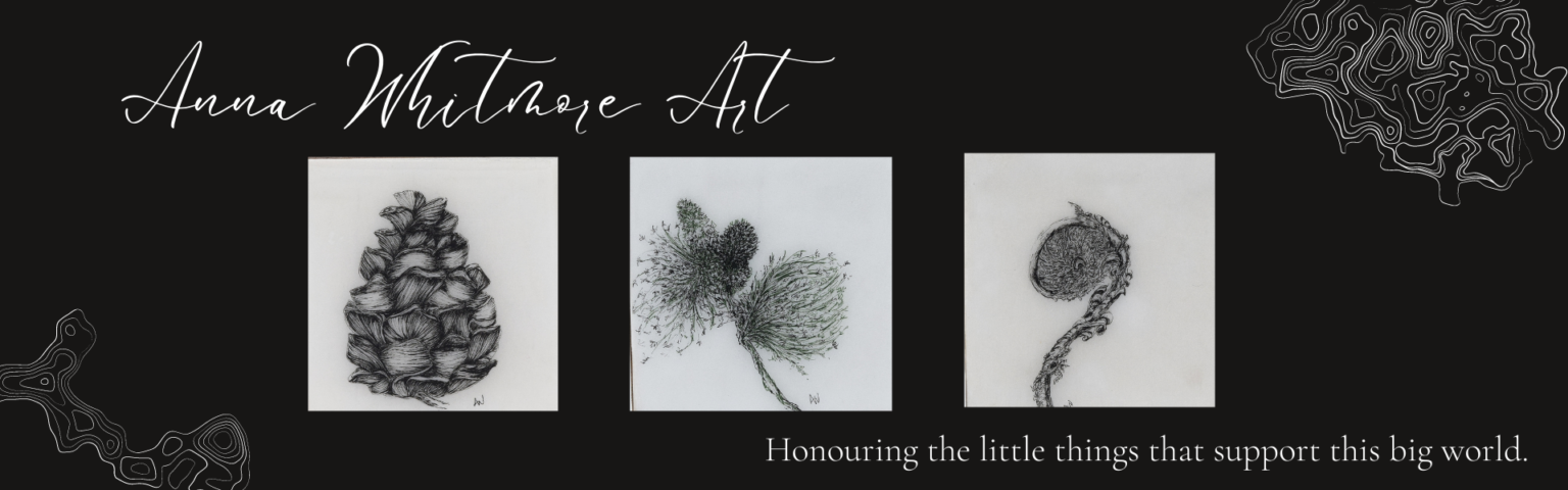 Artist Gallery: Anna Whitmore