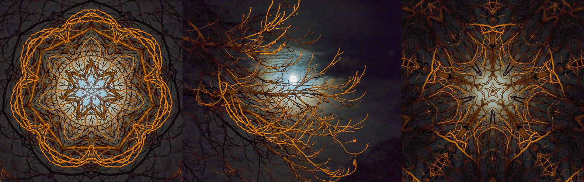 Artist Gallery: Alex Neumann