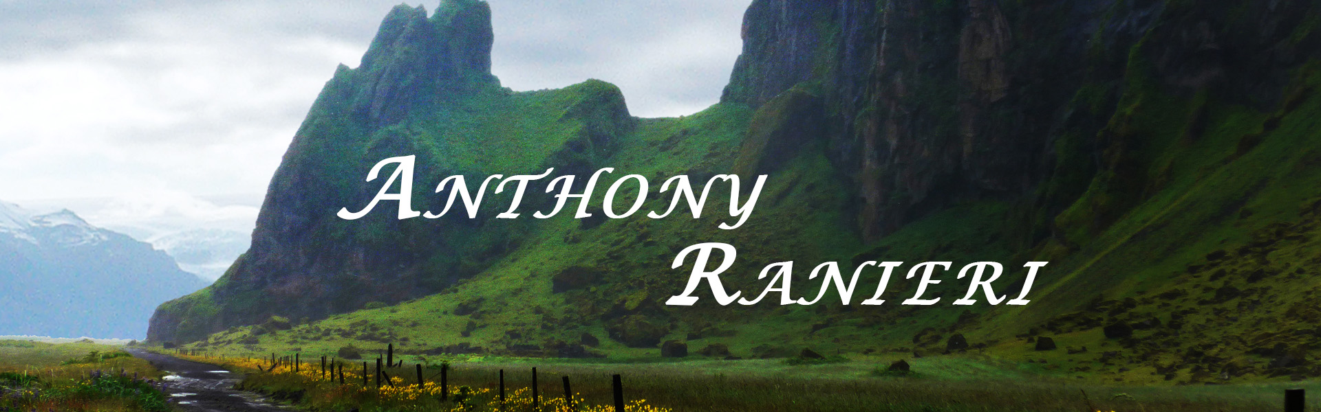 Artist Gallery: Anthony Ranieri